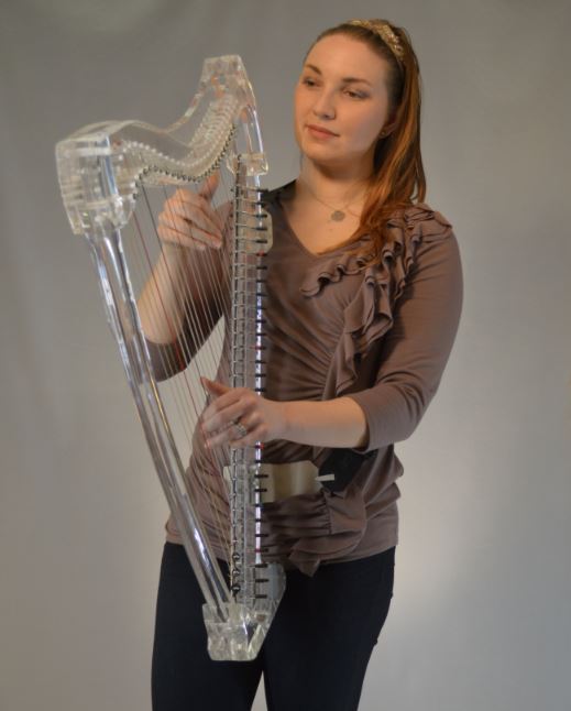 Shoulder Rest and other holders | Cassista Electric Harps