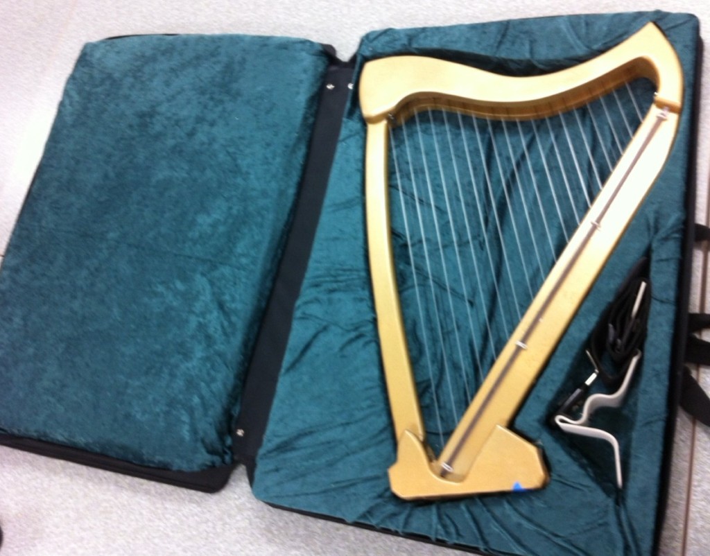 Harp Cases | Cassista Electric Harps